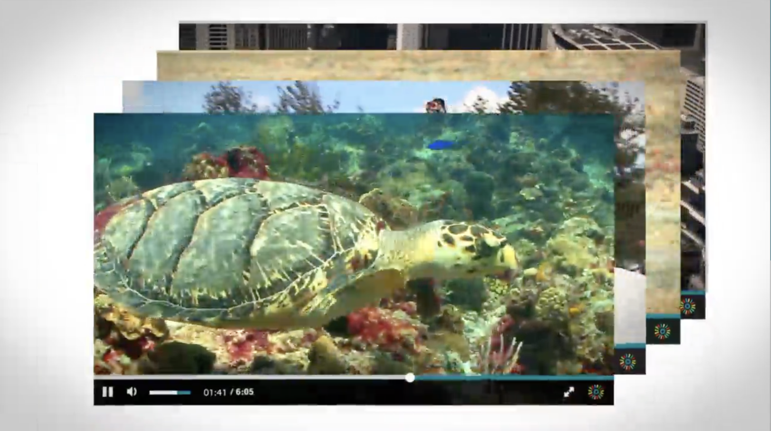 The Top 13 HTML5 Video Players Around | Wowza