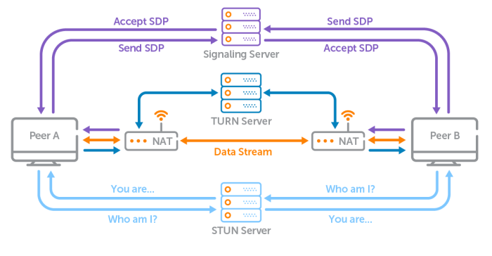 WebRTC Server: What It Is and Why You Need One | Wowza